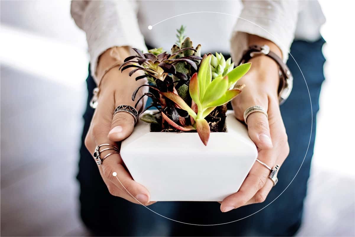 Giving Back: Cultivating a Culture of Gratitude - Profit Reimagined™ Inc.
